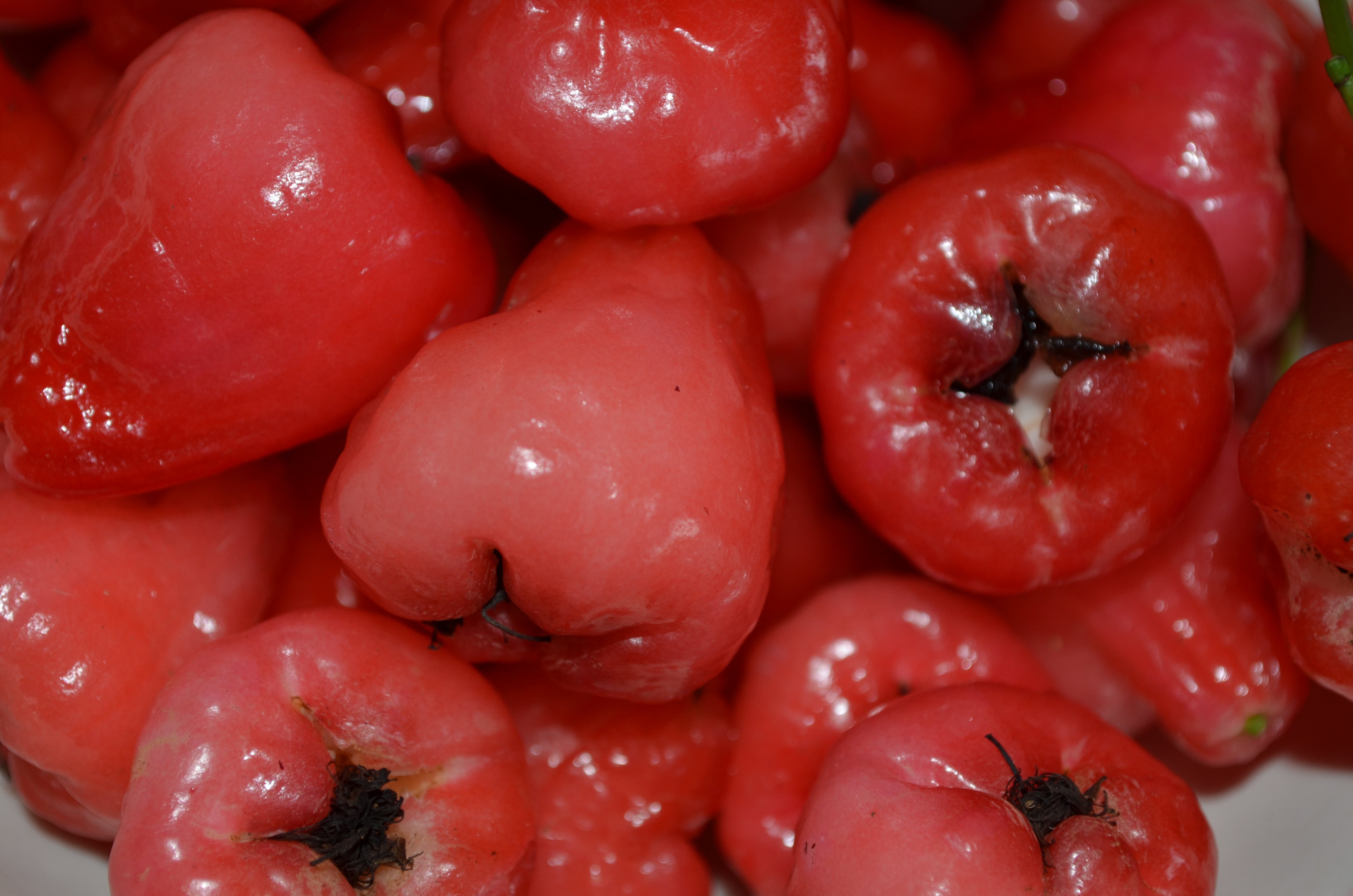 tambis B – University of the Philippines