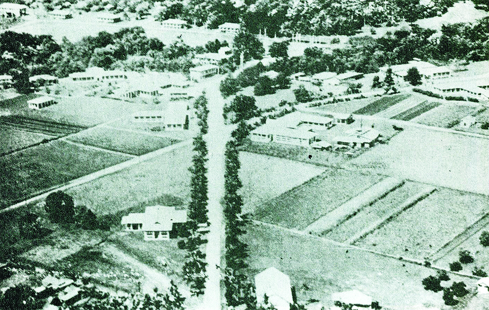 UPLB old campus – University of the Philippines