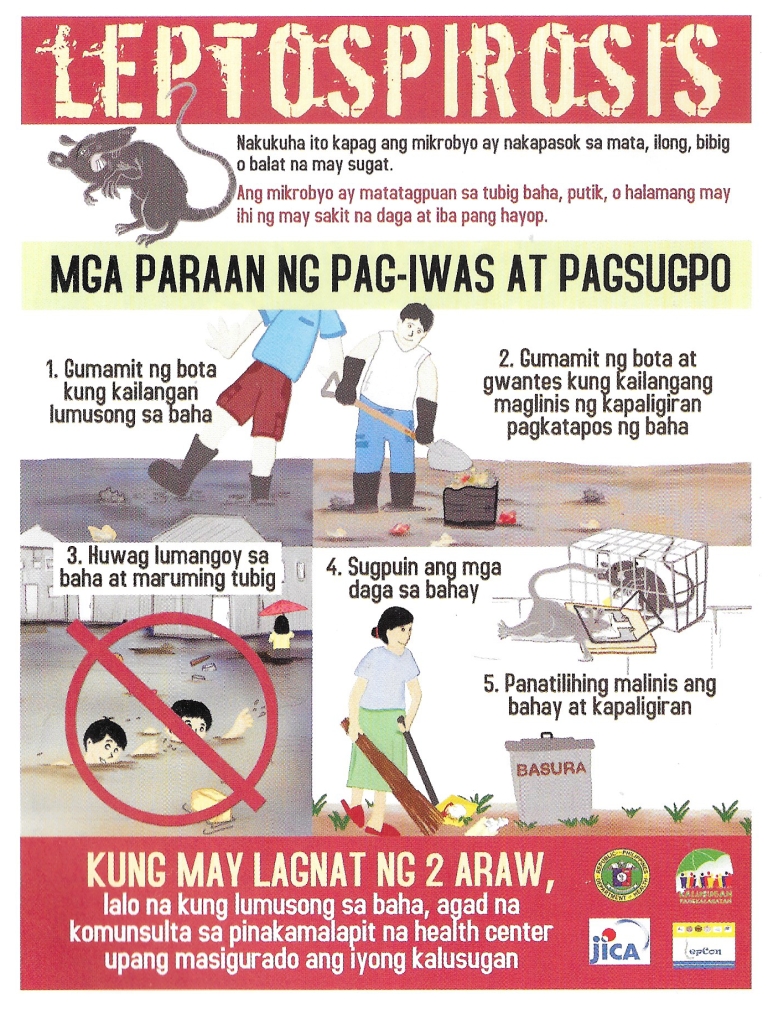 Fighting Leptospirosis with a local vaccine - University of the Philippines