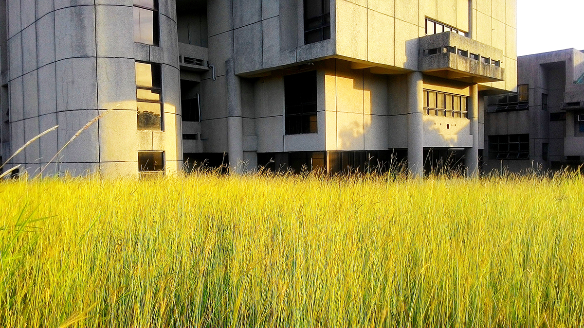 Spaces for a Green Life of the Mind - University of the Philippines
