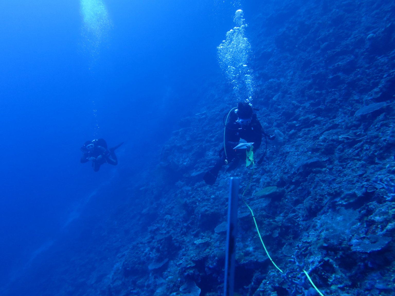 Poor condition of reefs in the West Philippine Sea reveals a need for ...