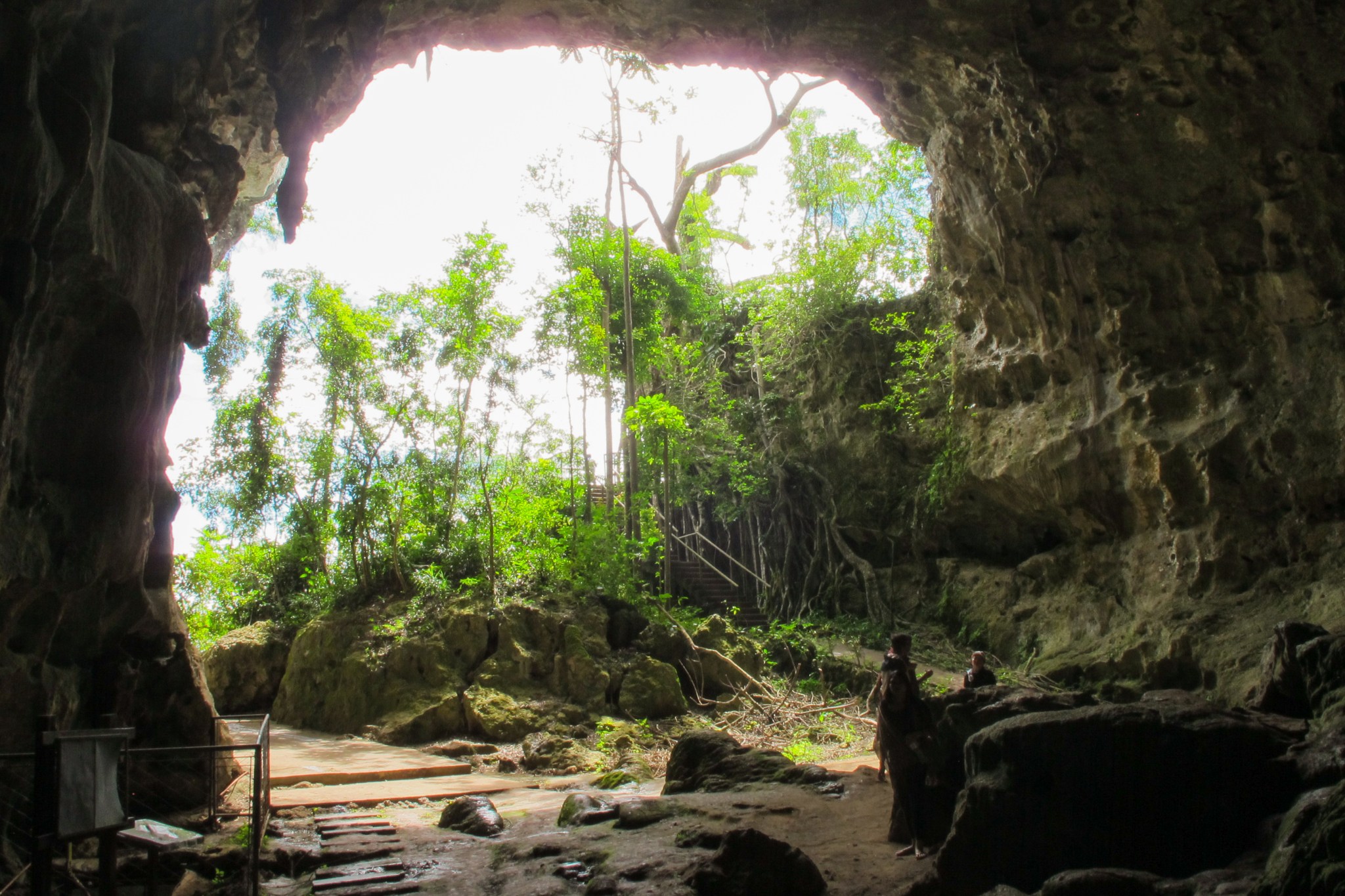 Breakthrough: Extinct giant rodents discovered in the Philippines ...