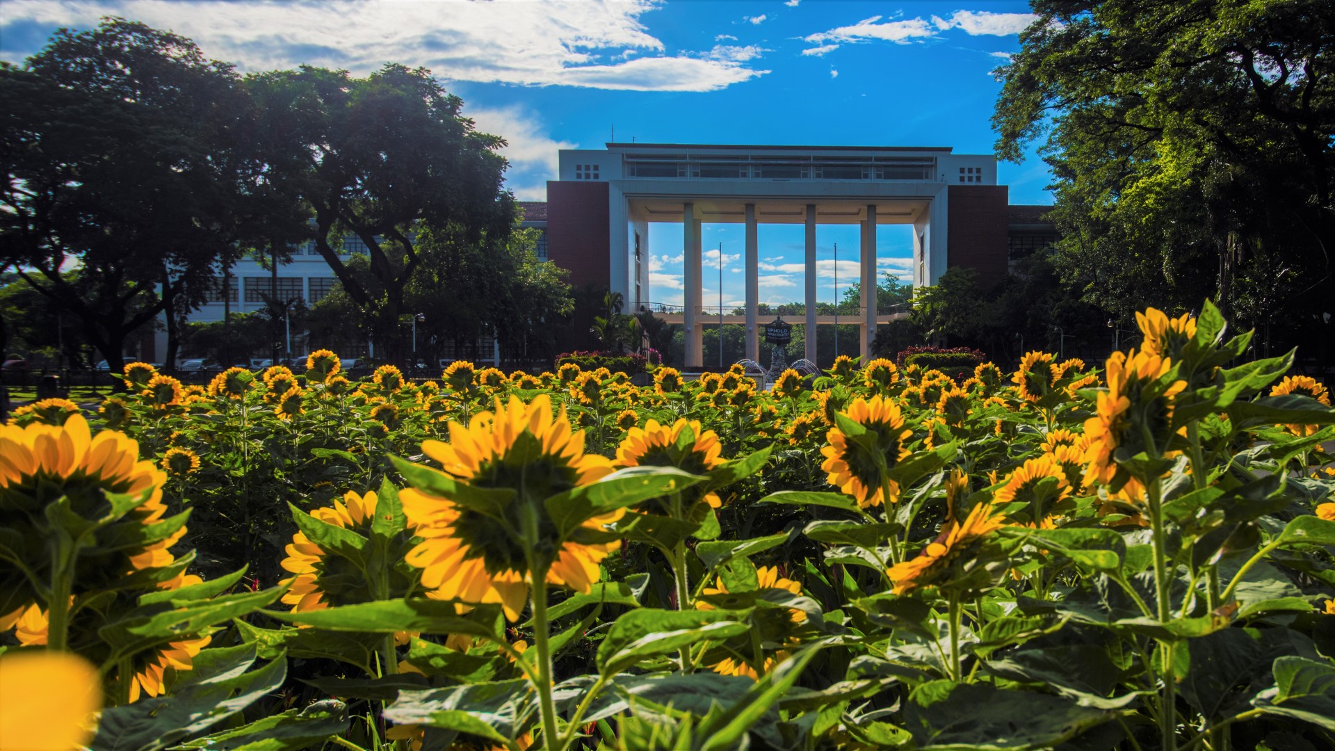 Pagtatapos 2023 University Of The Philippines