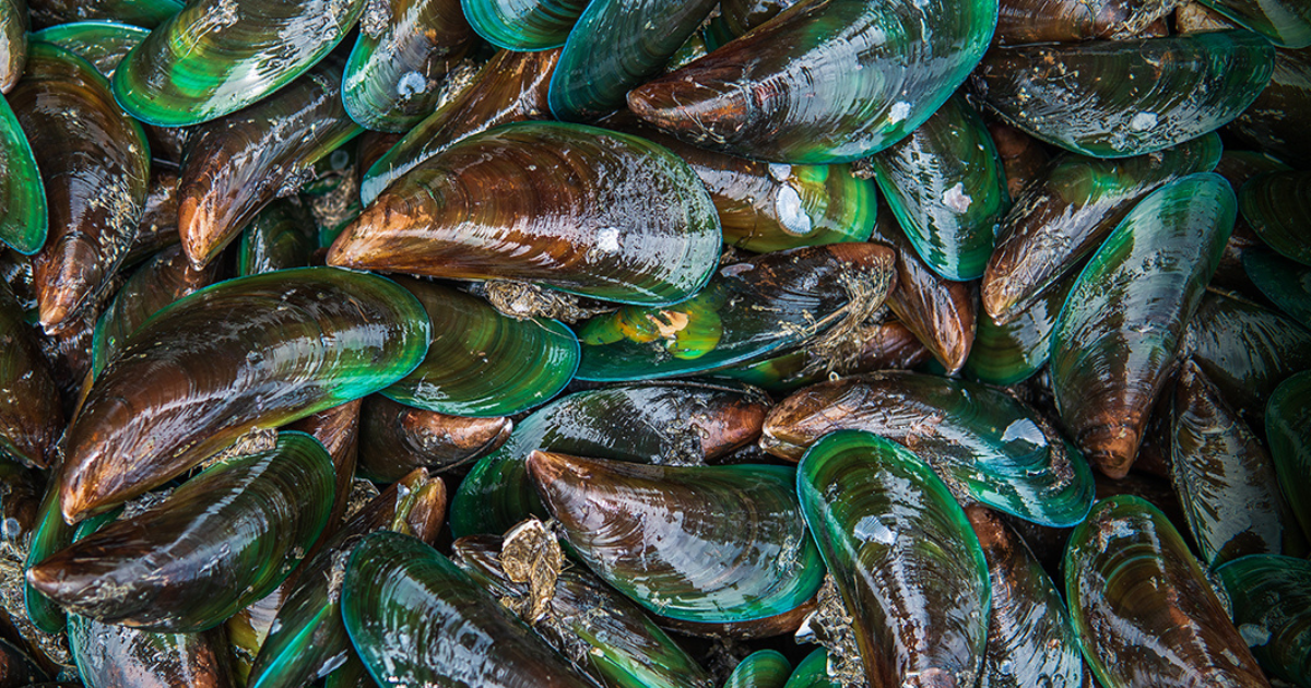 Making A Difference - University of the Philippines